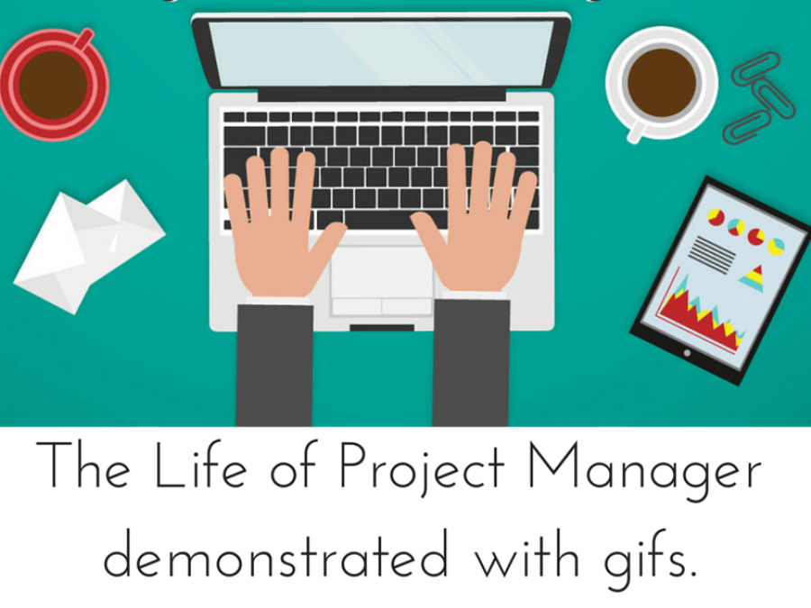 The Daily Life of a Project Manager Demonstrated in Gifs | LevelTen ...