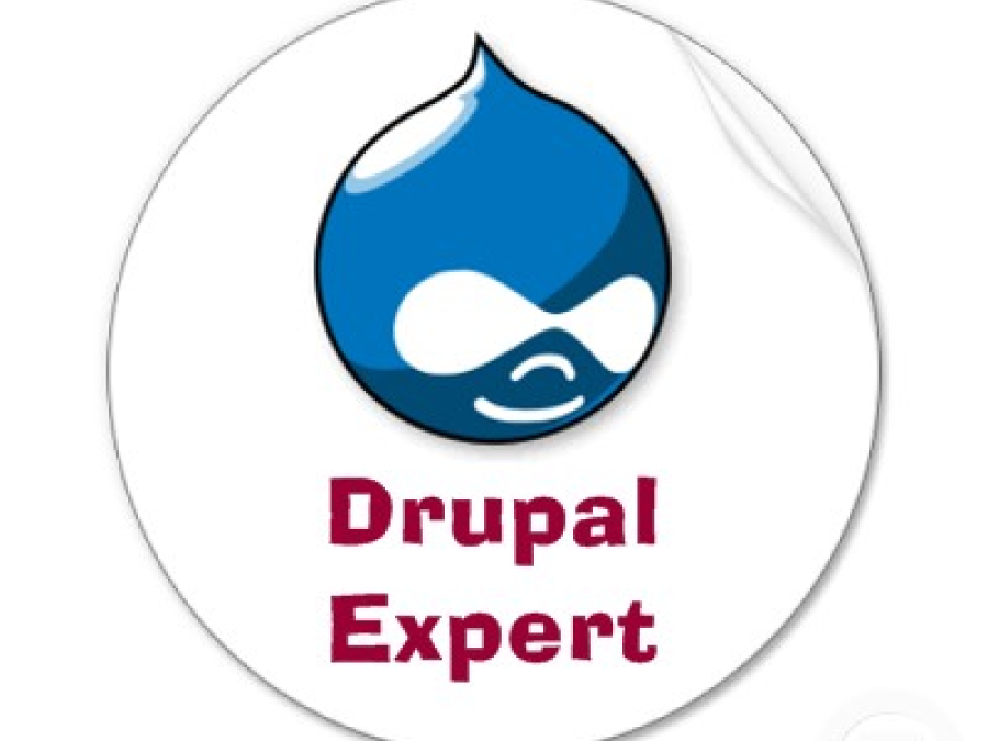 Drupal Expert Defined and Defended | LevelTen Dallas, TX