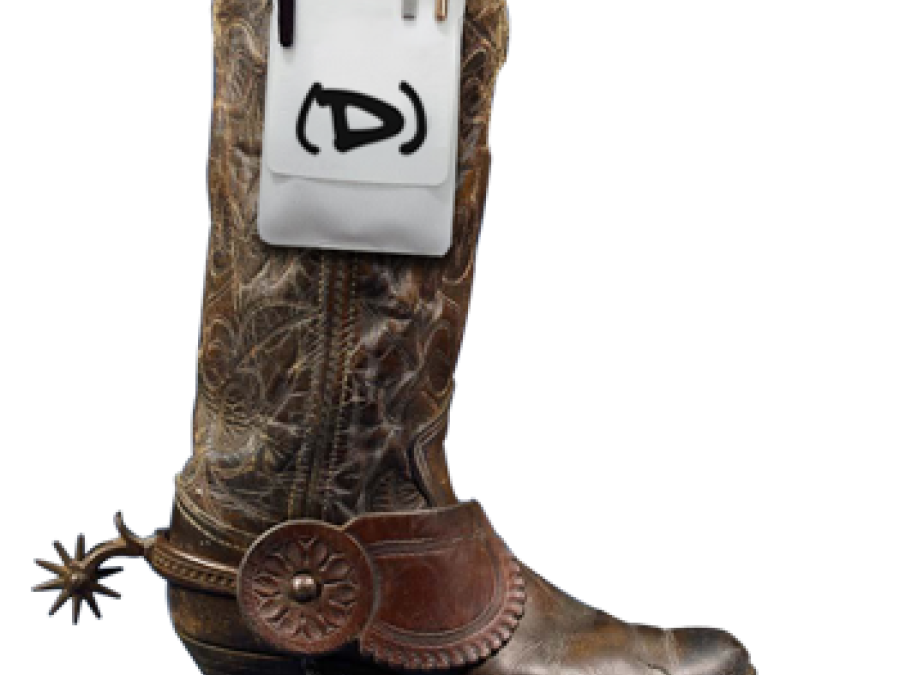 Big D Design Conference | LevelTen